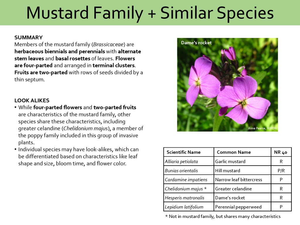 Wisconsin Invasive Plant Identification Course – Renz Weed Science