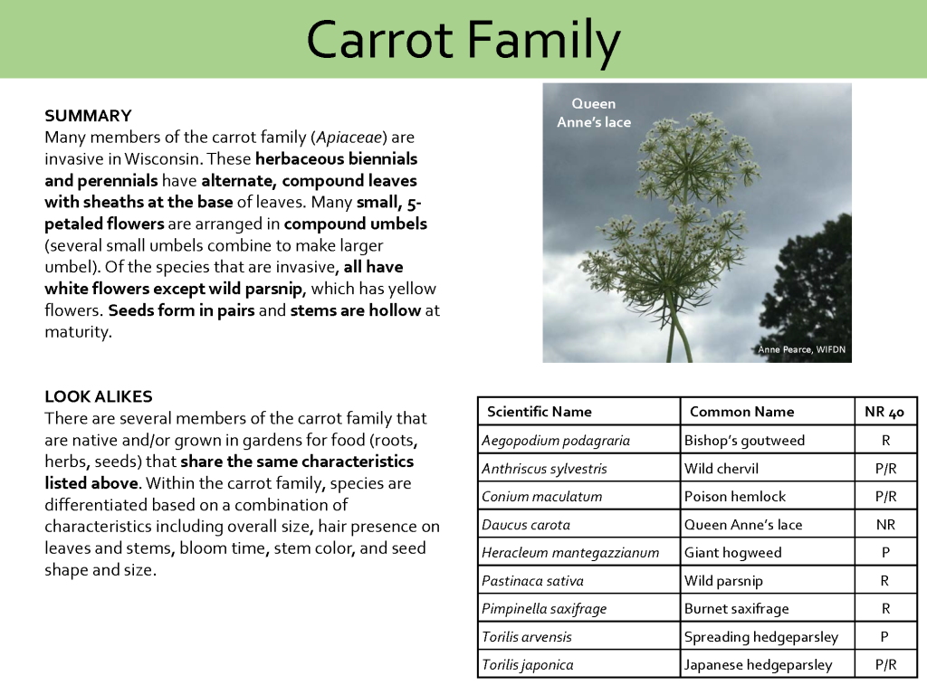 Wisconsin Invasive Plant Identification Course – Renz Weed Science